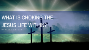 What Is Choking The Jesus Life Within? – Marlena Graves